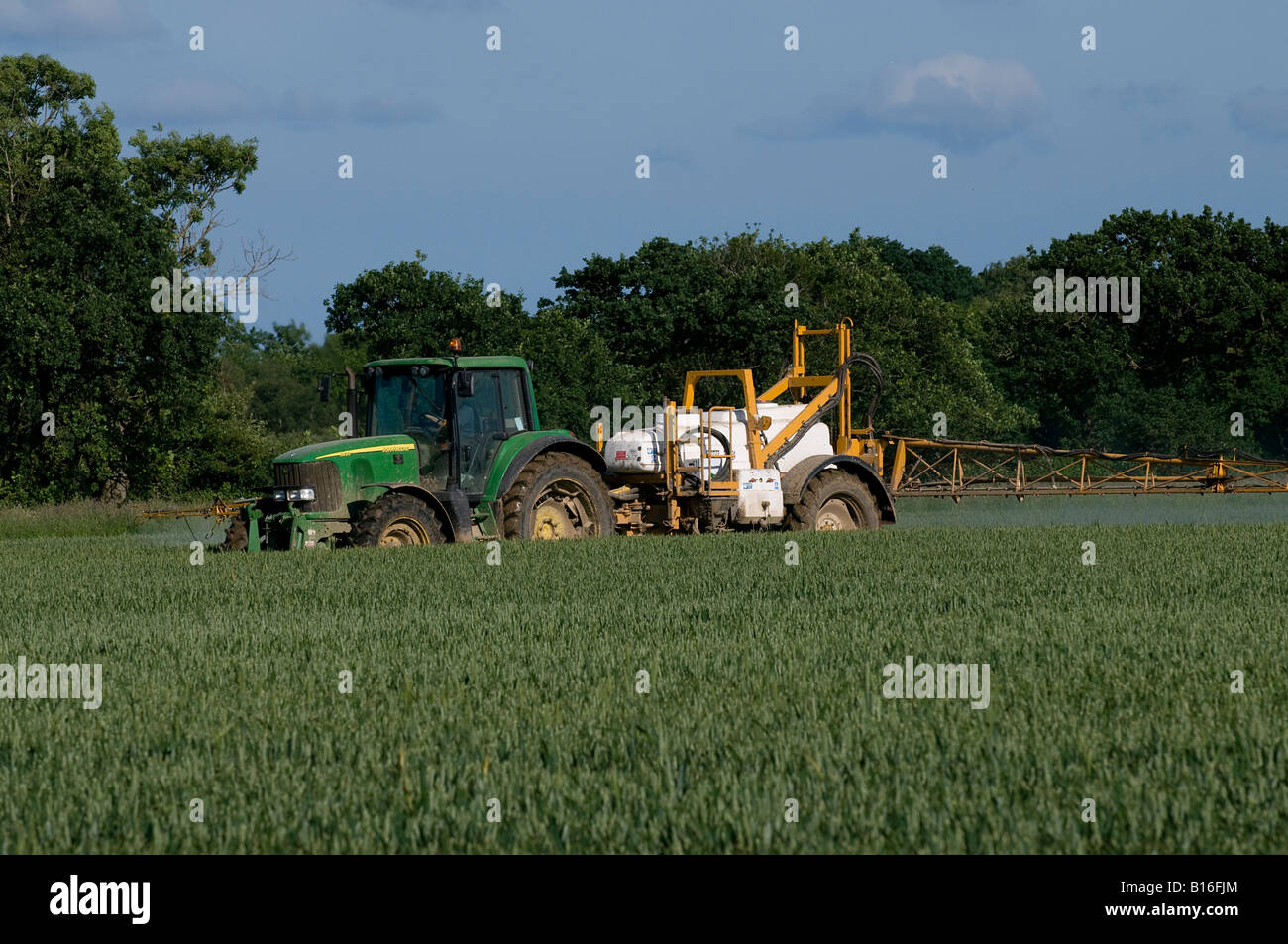 Spraying a crop of wheat with a short acting insecticide Stock Photo ...
