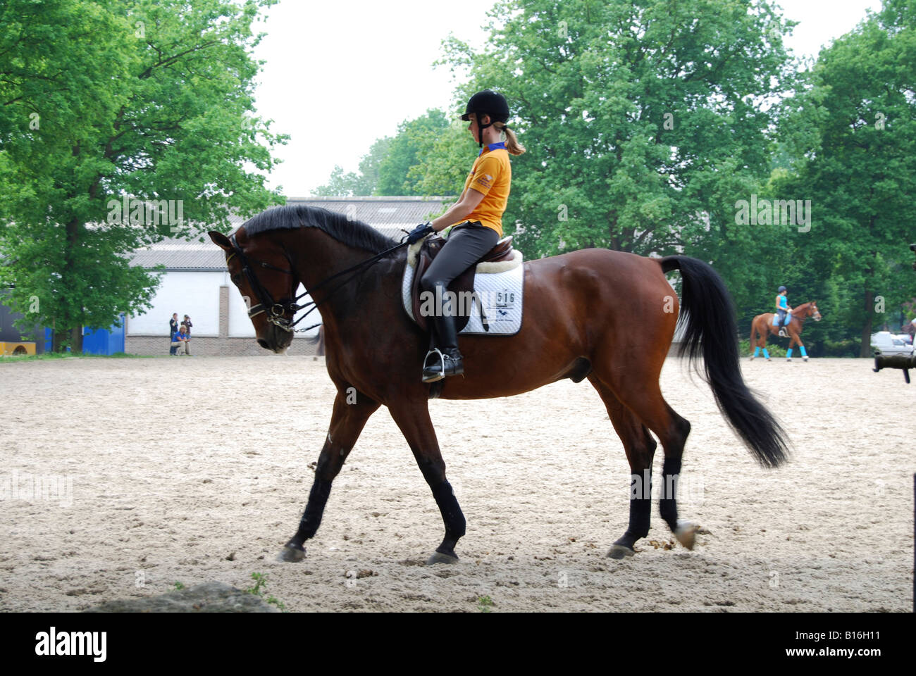 equine dressage practice Stock Photo - Alamy
