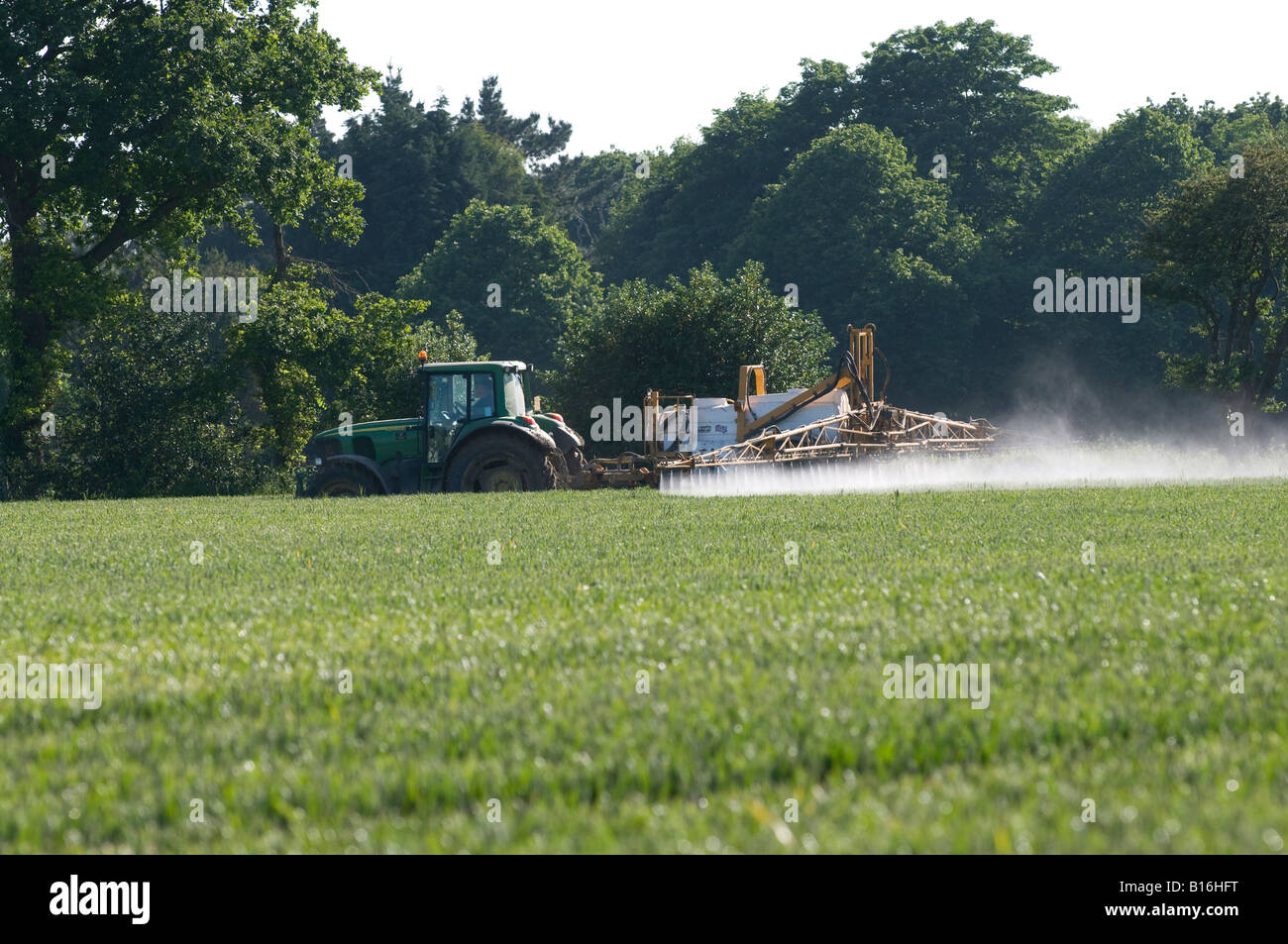 Spraying a crop of wheat with a short acting insecticide Stock Photo ...