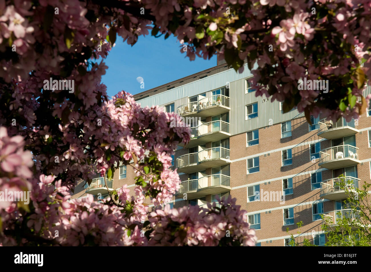 12 story high rise building hi-res stock photography and images - Alamy