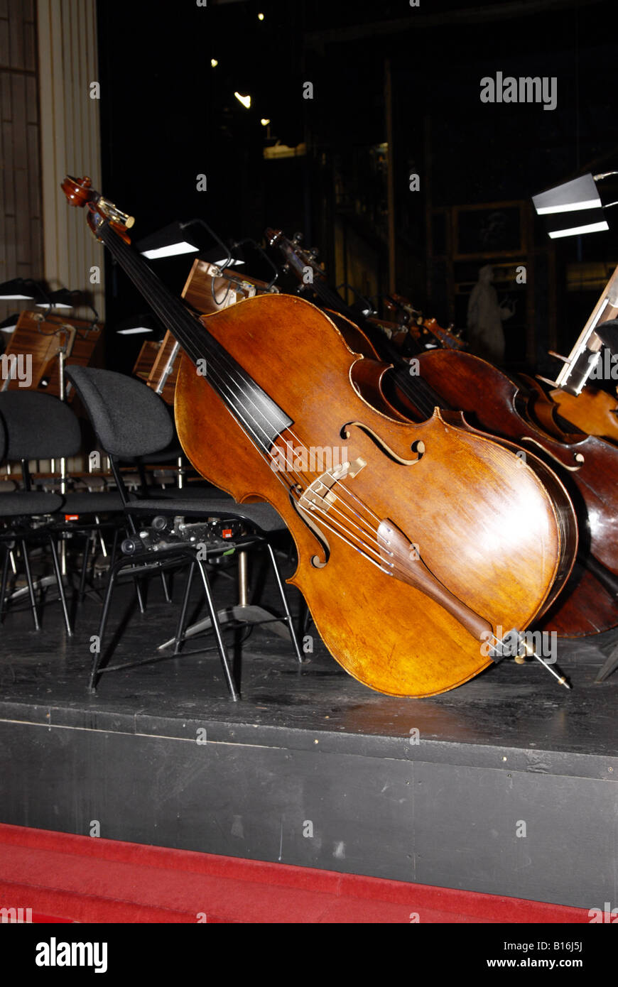 The Vienna State Opera House , Staatsoper , double bass in orchestra ...