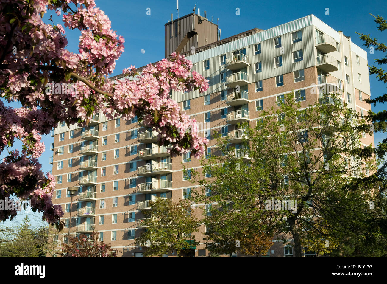 High rise apartment building canada hi-res stock photography and images ...