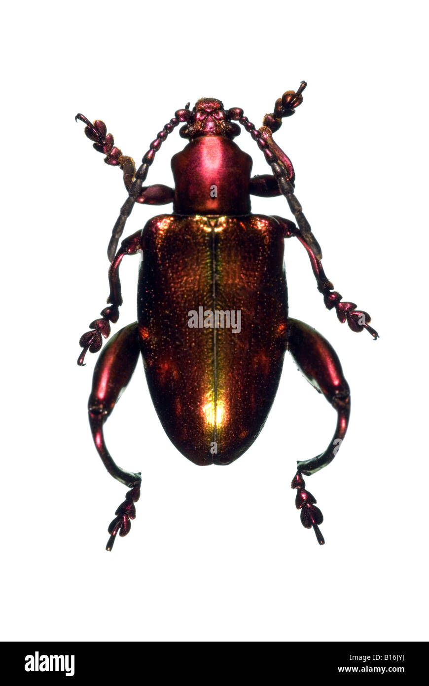 Newphoto hi-res stock photography and images - Alamy