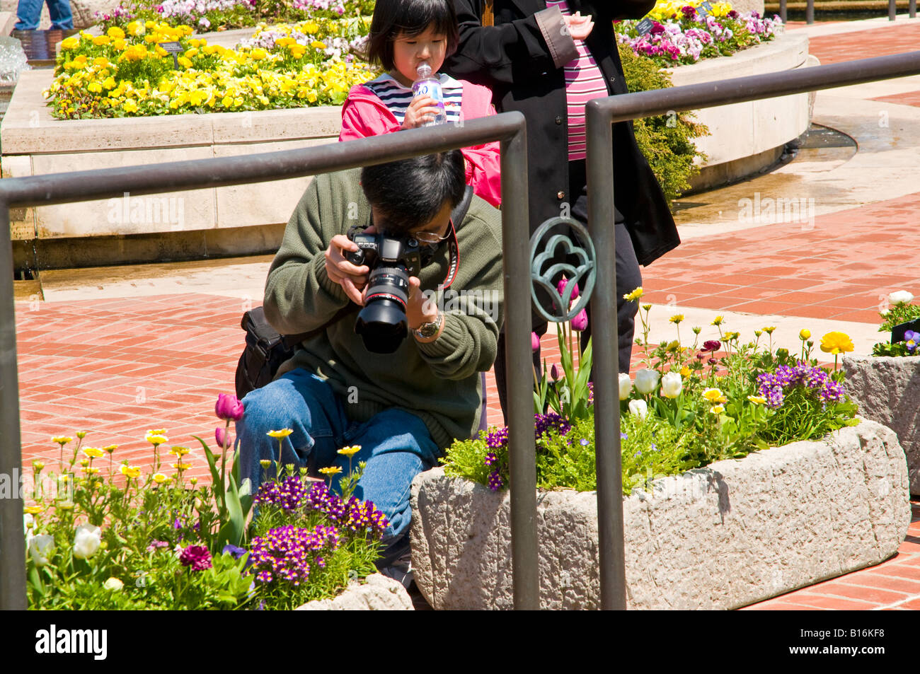 Flower Photographer & Family Stock Photo - Alamy