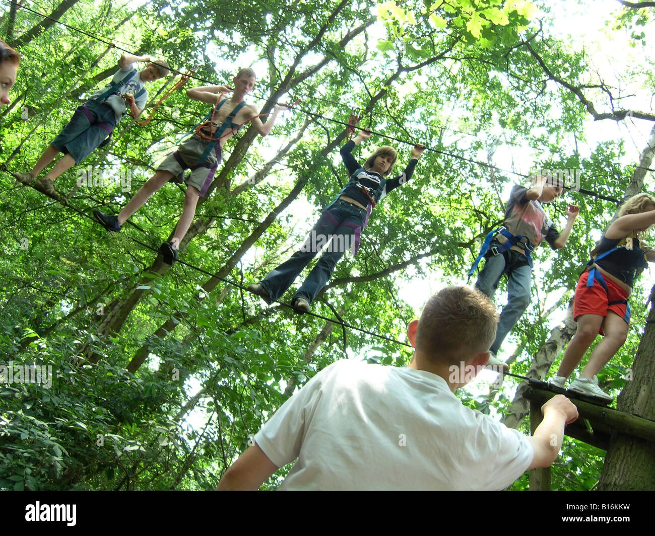 students walking over rope in the trees at school camp Stock Photo - Alamy