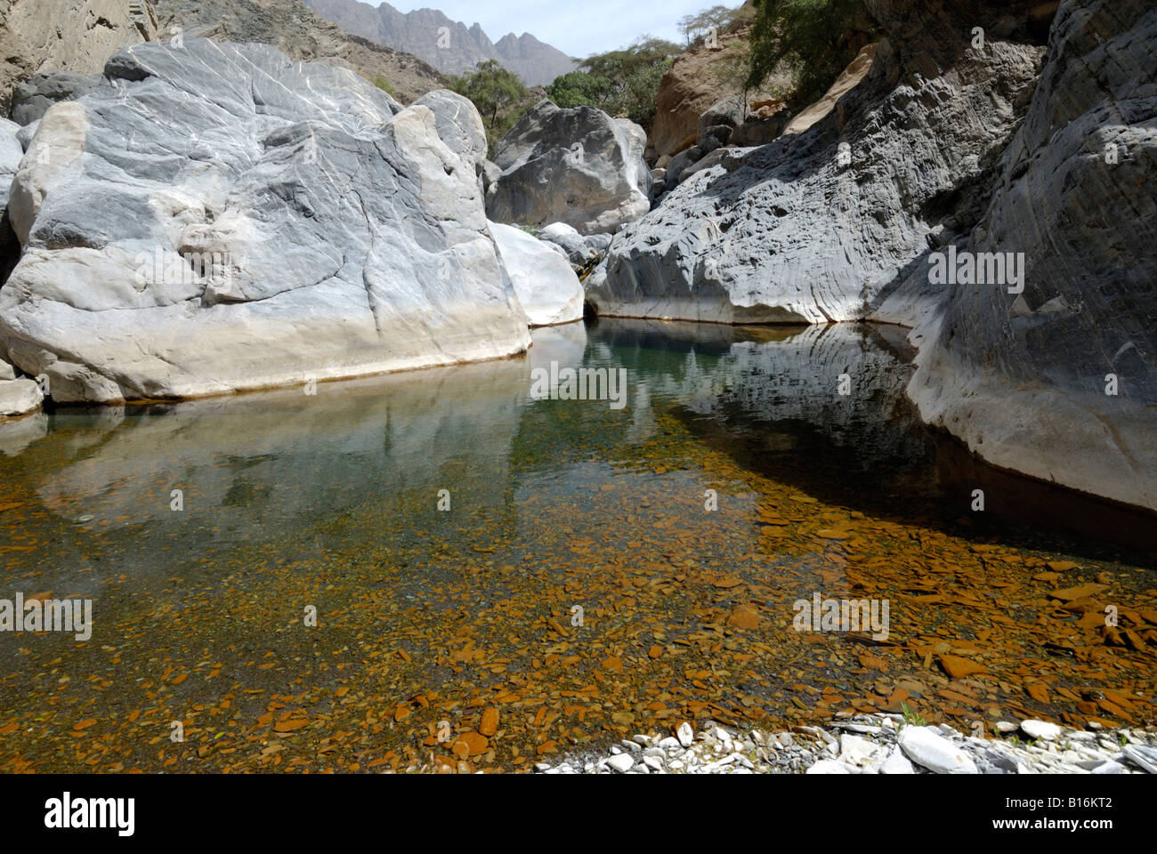 Spring water flow in the Wadi al Muaydin, Al Jabal al Akhdar massif ...