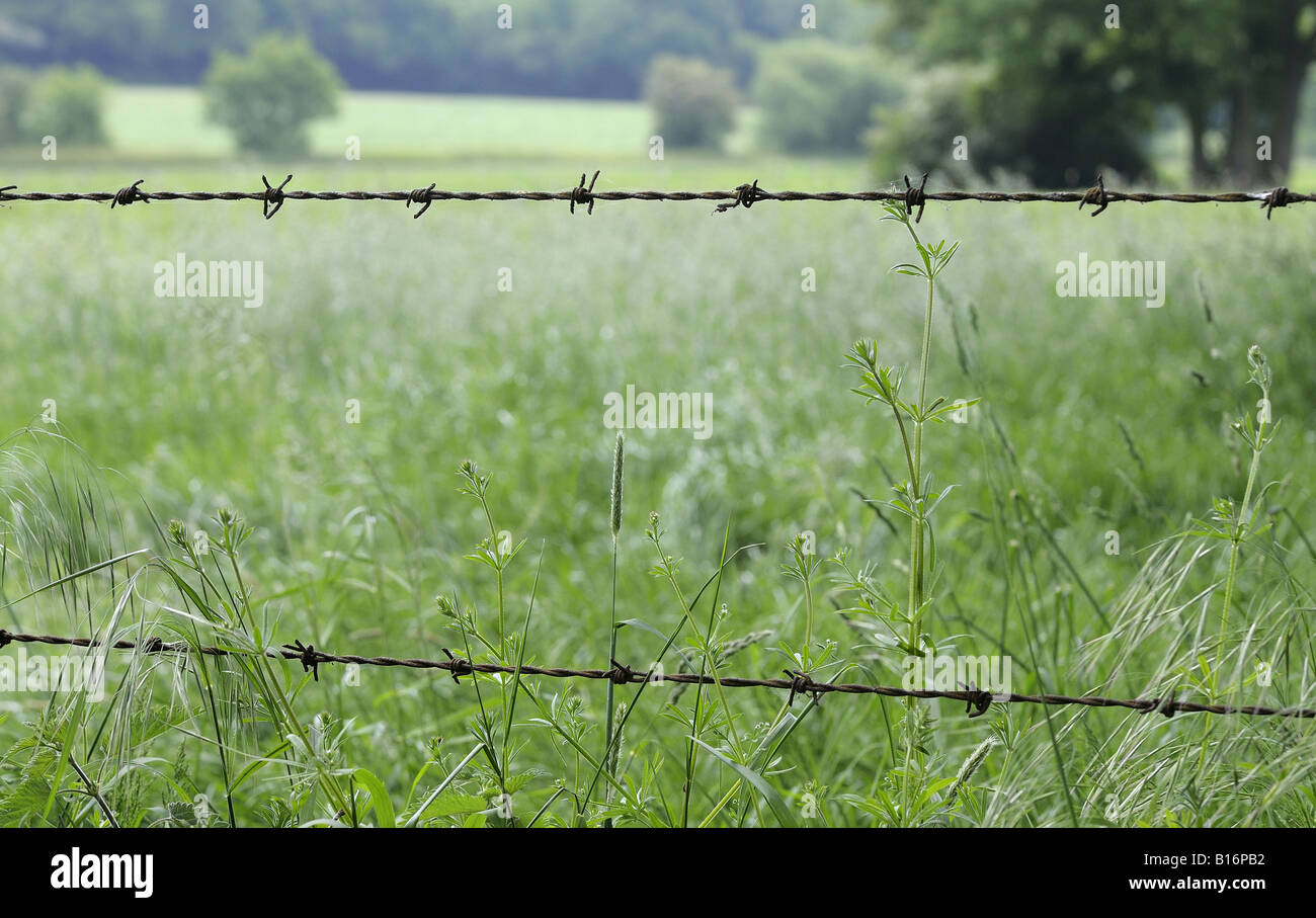 Barbed wire field boundary Stock Photo - Alamy