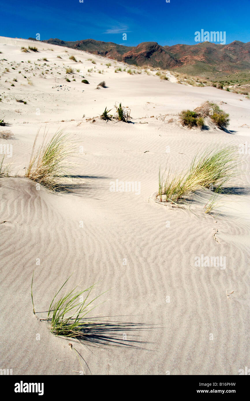 Sand desert , Andalucia , Spain Stock Photo - Alamy