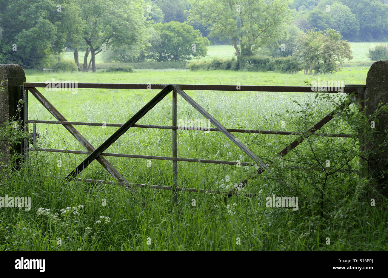 Metal gate leading into a field Stock Photo - Alamy