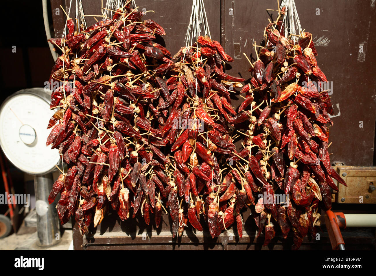 Rows of dryed chillies hanging from a vegtable shop in Tropea Italy ...