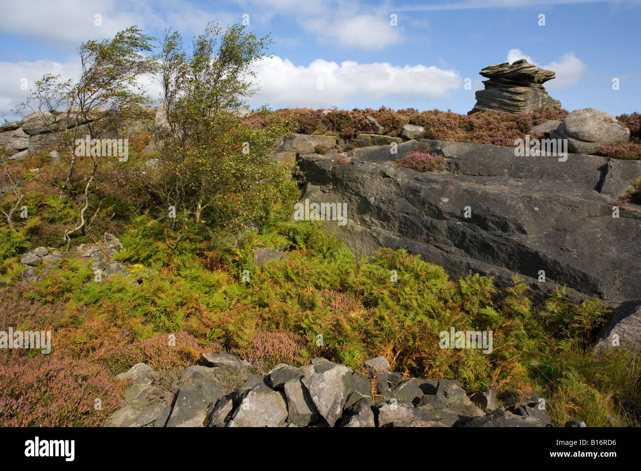 A view of Mother Cap a rock formation on Hathersage Moor in the Peak ...
