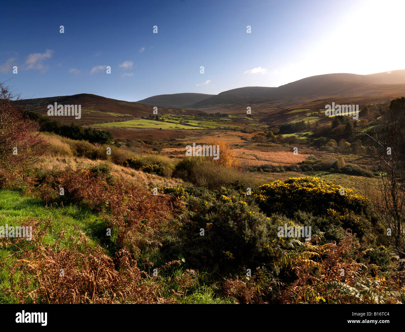 Nire' hi-res stock photography and images - Alamy