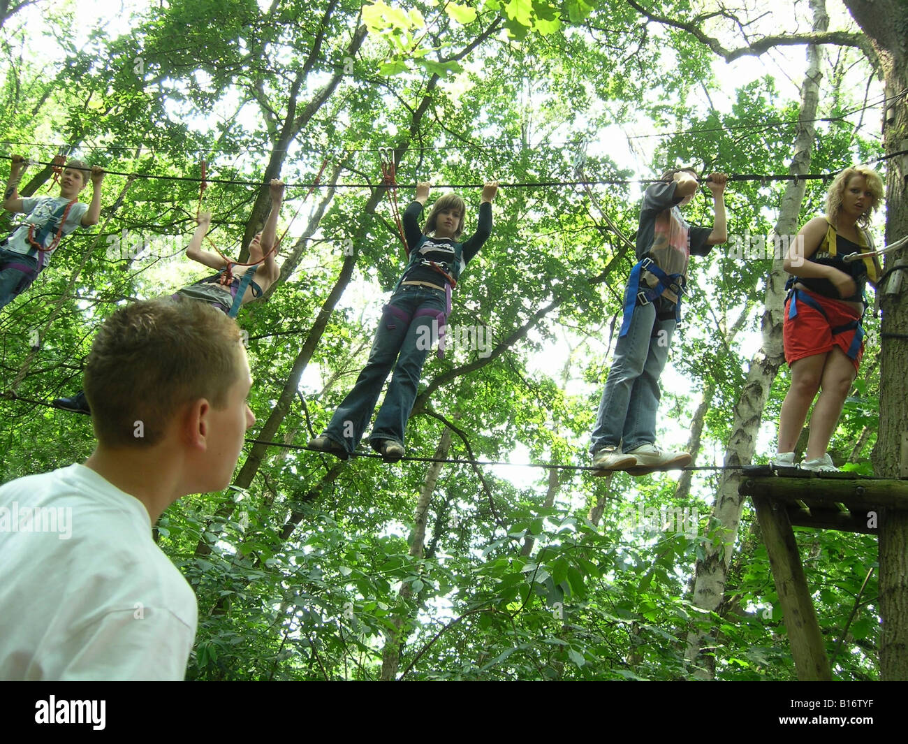 students walking over rope in the trees at school camp Stock Photo - Alamy