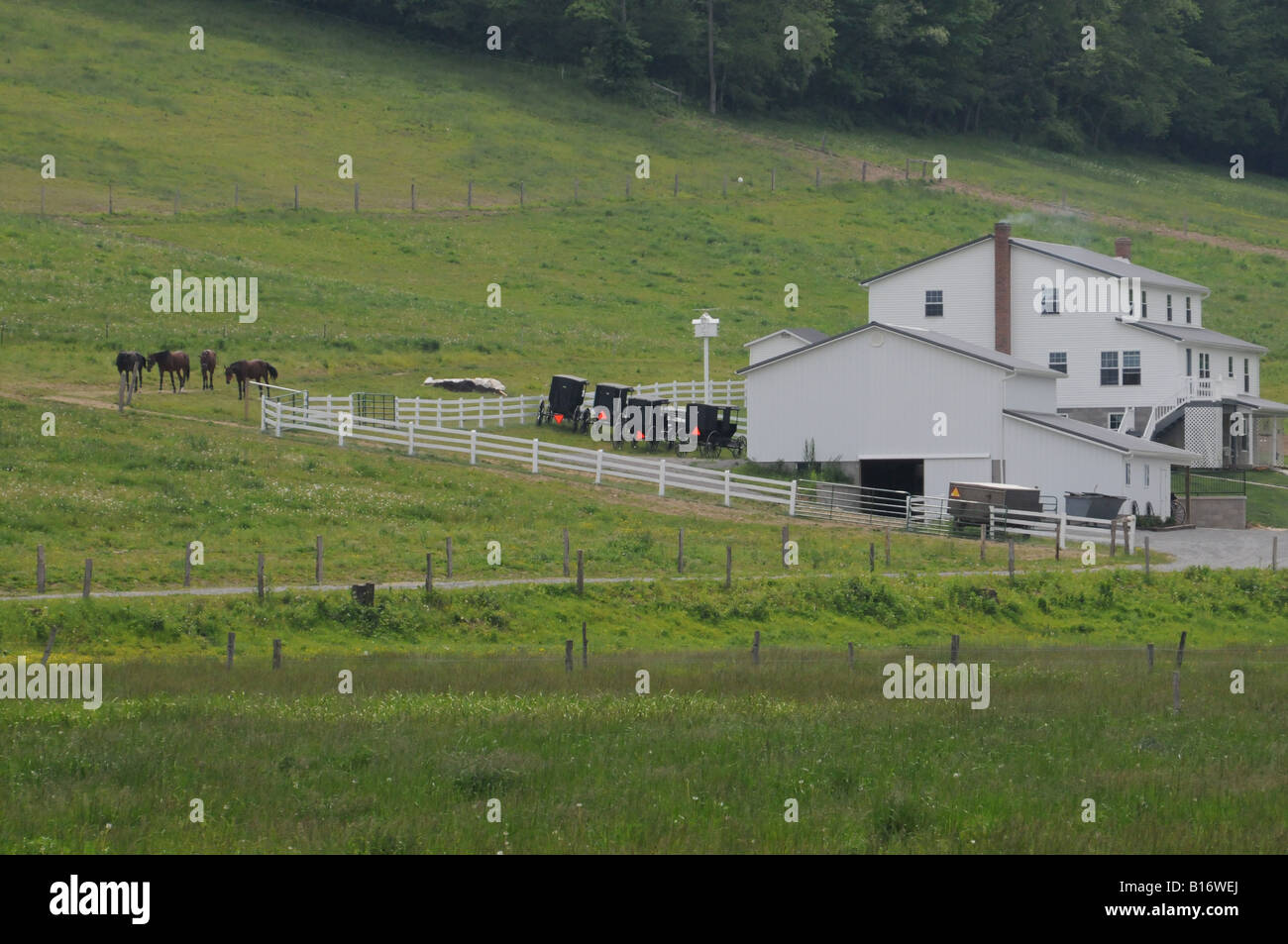 Amish farm house with buggies in back yard Stock Photo - Alamy