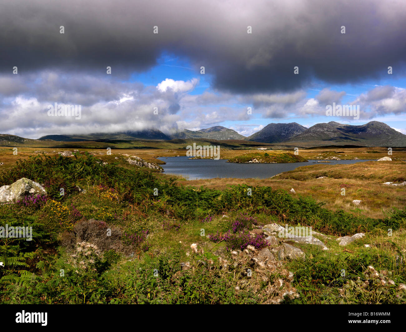 Galway connacht ireland hi-res stock photography and images - Alamy