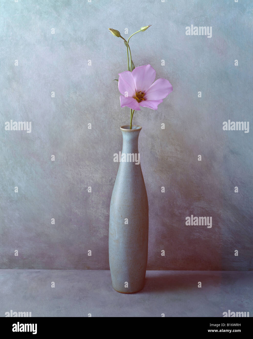 Single Flower In Vase Painting
