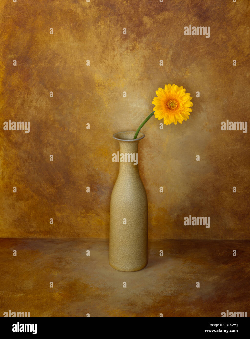 Flower vase hi-res stock photography and images - Alamy