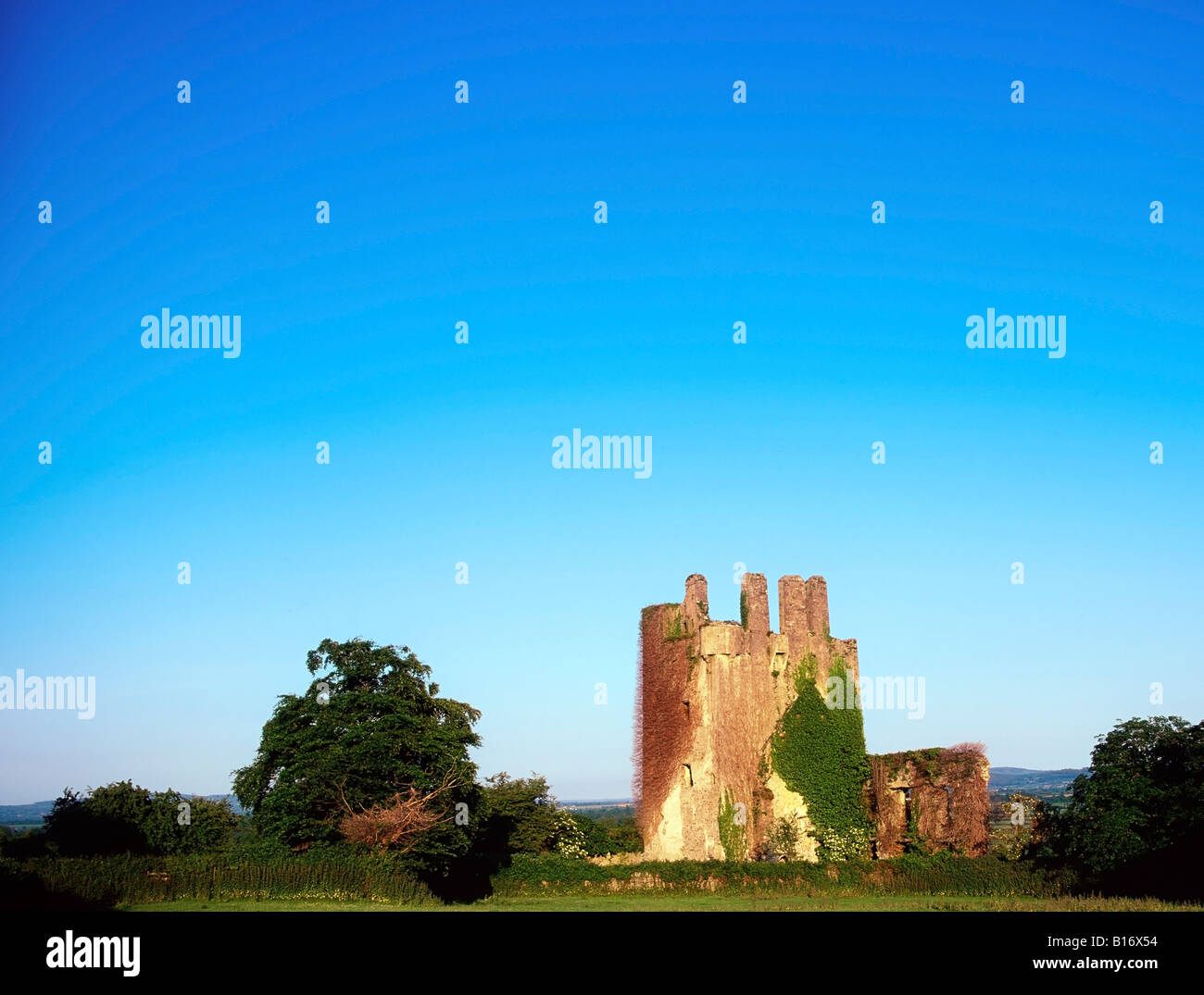 Kilcash Castle, Co Tipperary, Ireland Stock Photo - Alamy