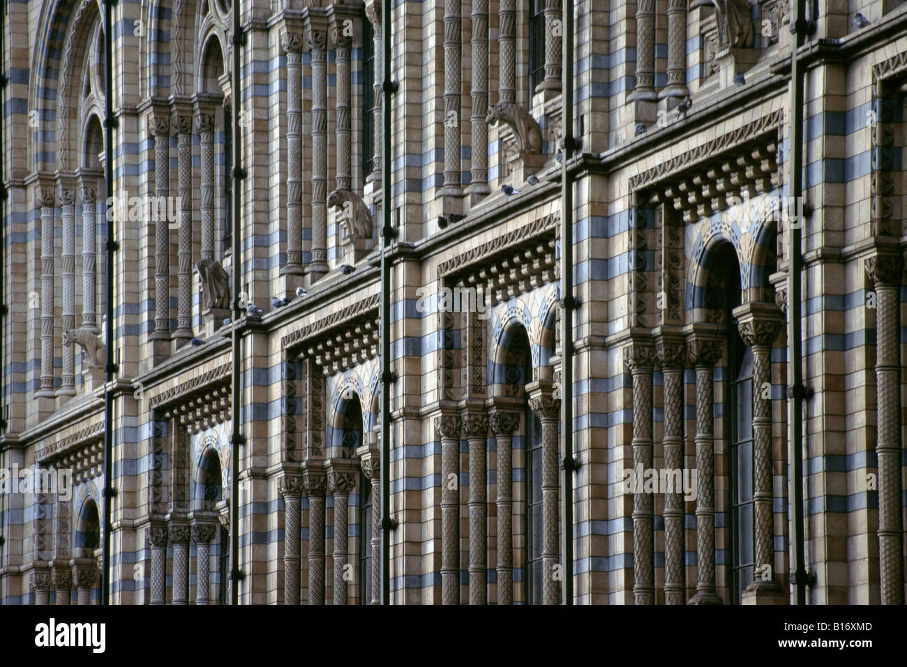 Exterior of Natural History Museum, London Stock Photo - Alamy