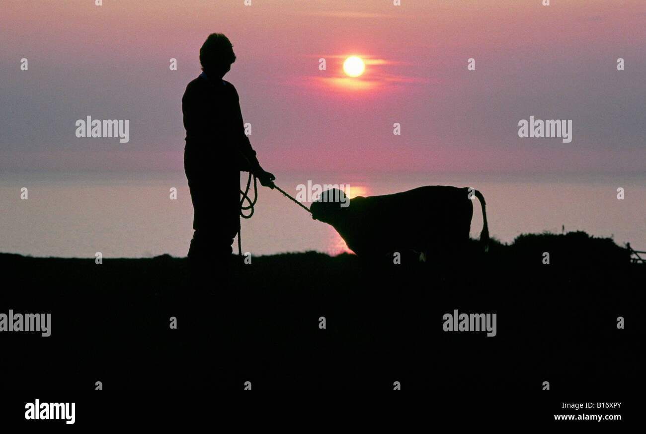 Rural farming in cornwall hi-res stock photography and images - Alamy