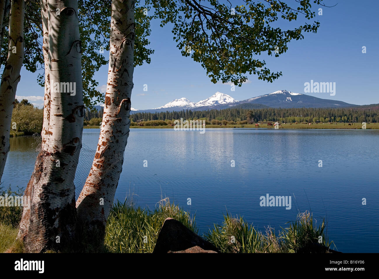 A view of the Cascade Mountains over a small lake at Black Butte Ranch ...