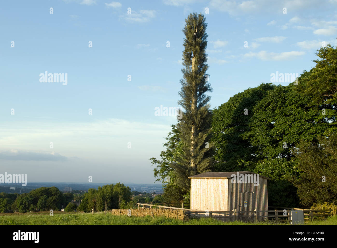Radio telecommunications mast disguised as a tree Stock Photo - Alamy