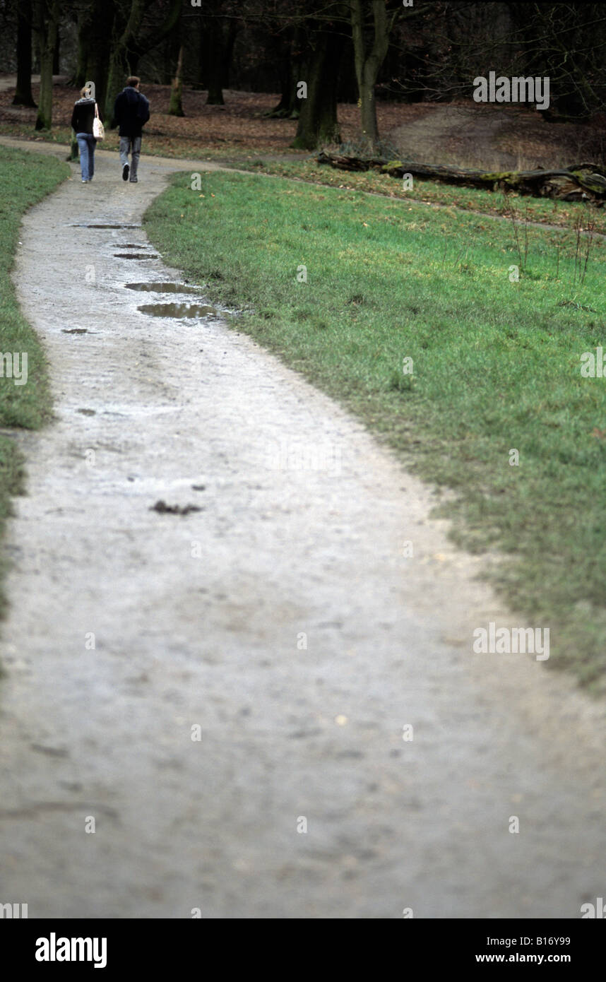 Pathway leading into the woods hi-res stock photography and images - Alamy