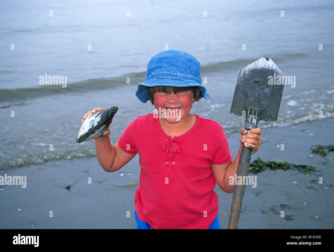 Clam digging washington hi-res stock photography and images - Alamy