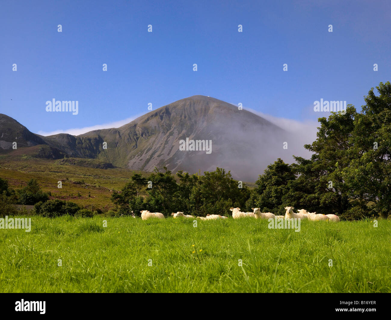 Croagh Patrick, County Mayo, Ireland Stock Photo - Alamy