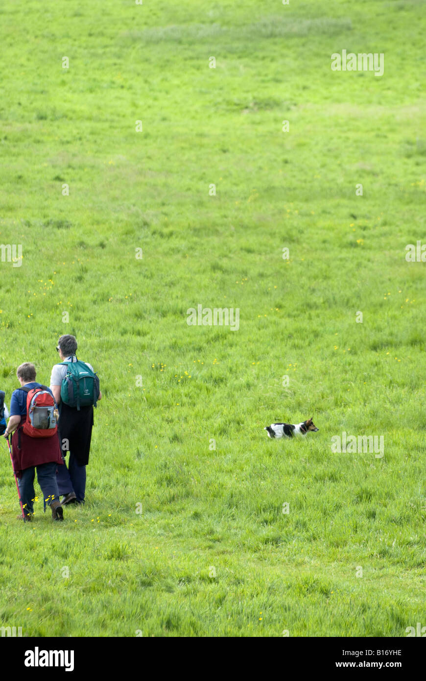 three ramblers in field Stock Photo - Alamy