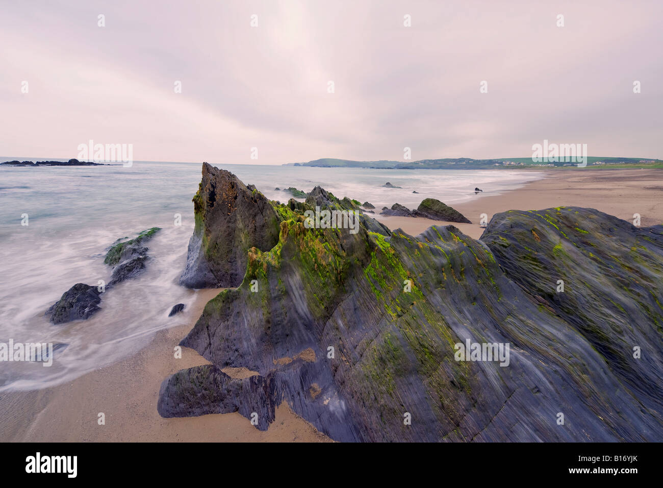 large rock and seaweed with evening light West Cork, Ireland Stock ...