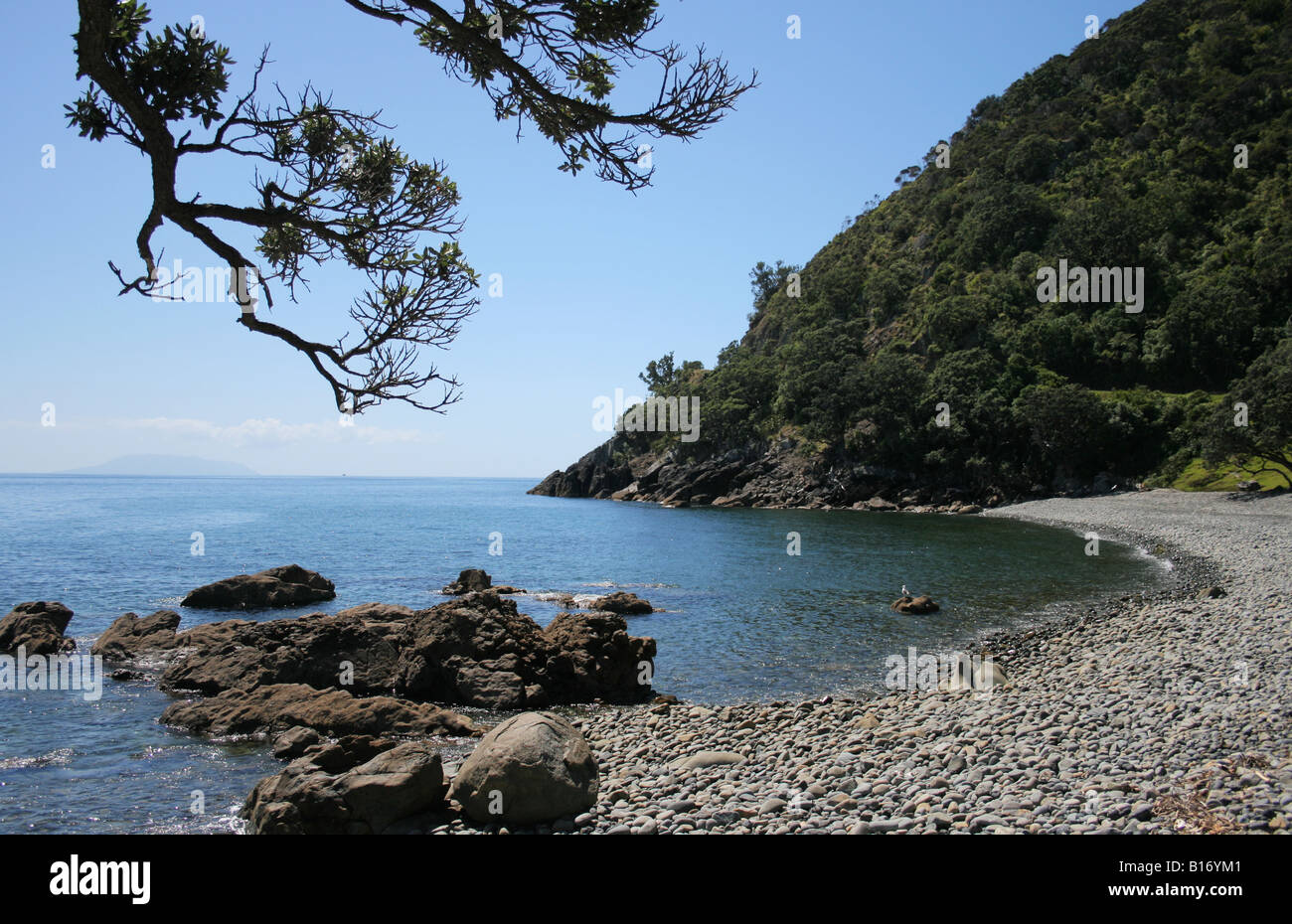 Stony beach coromandel hi-res stock photography and images - Alamy