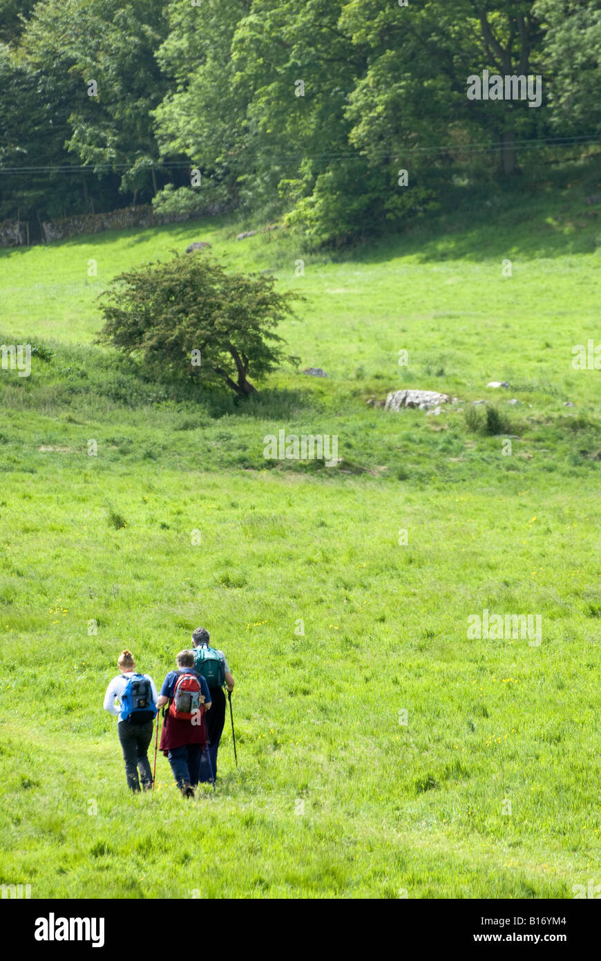 three ramblers in field Stock Photo - Alamy