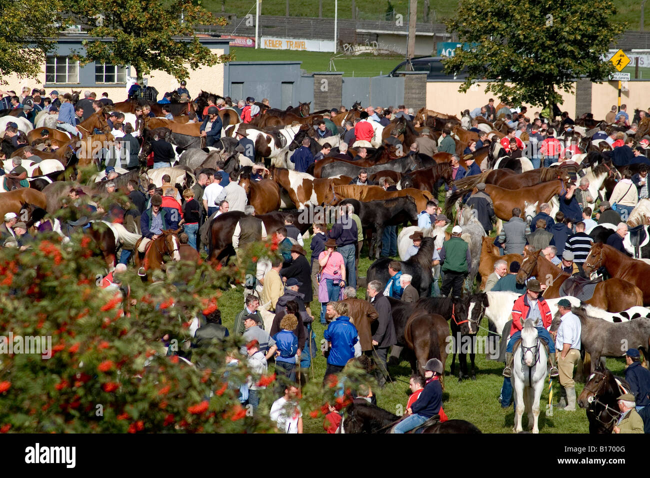 Ballinasloe hi-res stock photography and images - Alamy