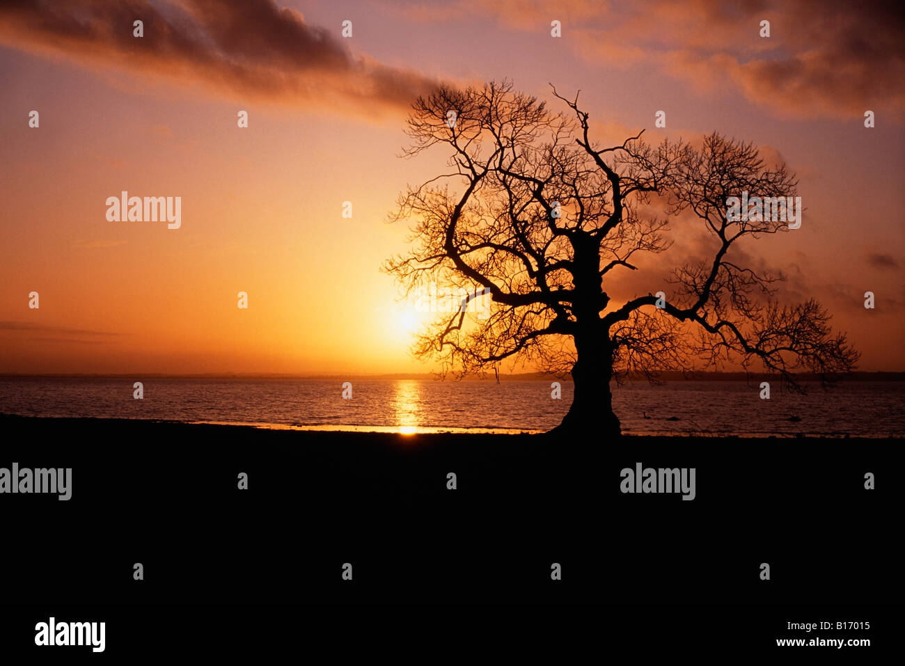 Lough Neagh in Ireland Stock Photo - Alamy