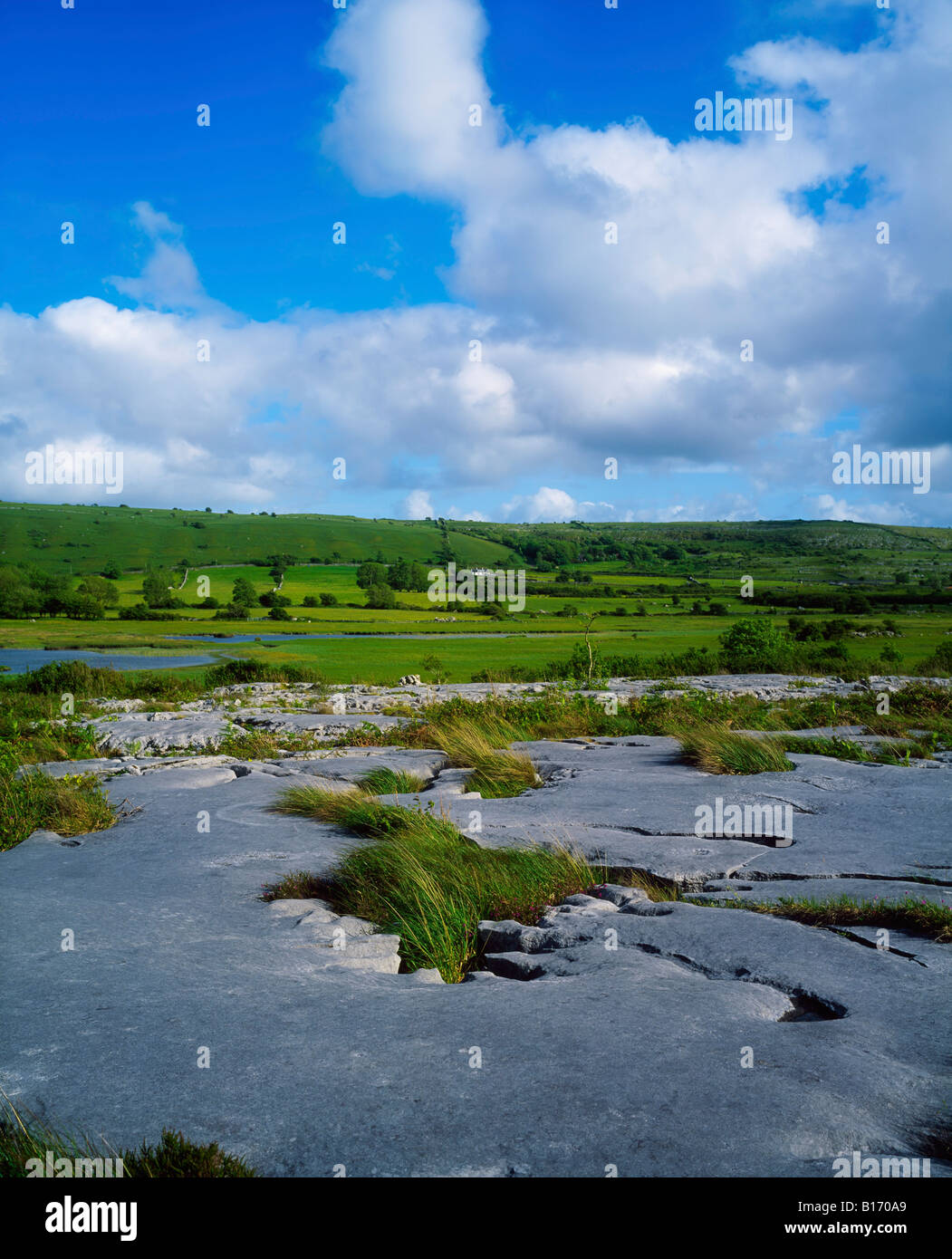 The Burren, County Clare, Ireland, Limestone Stock Photo - Alamy