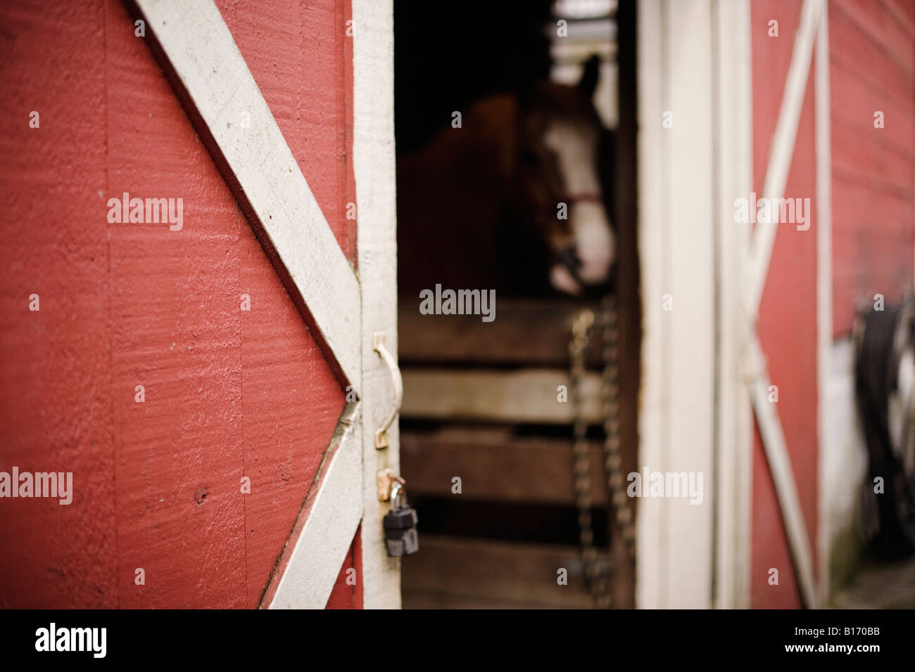 Shed barn door open hi-res stock photography and images - Alamy