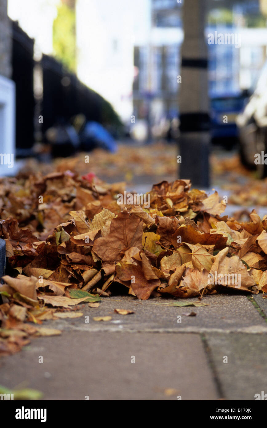 Swept leaves hi-res stock photography and images - Alamy