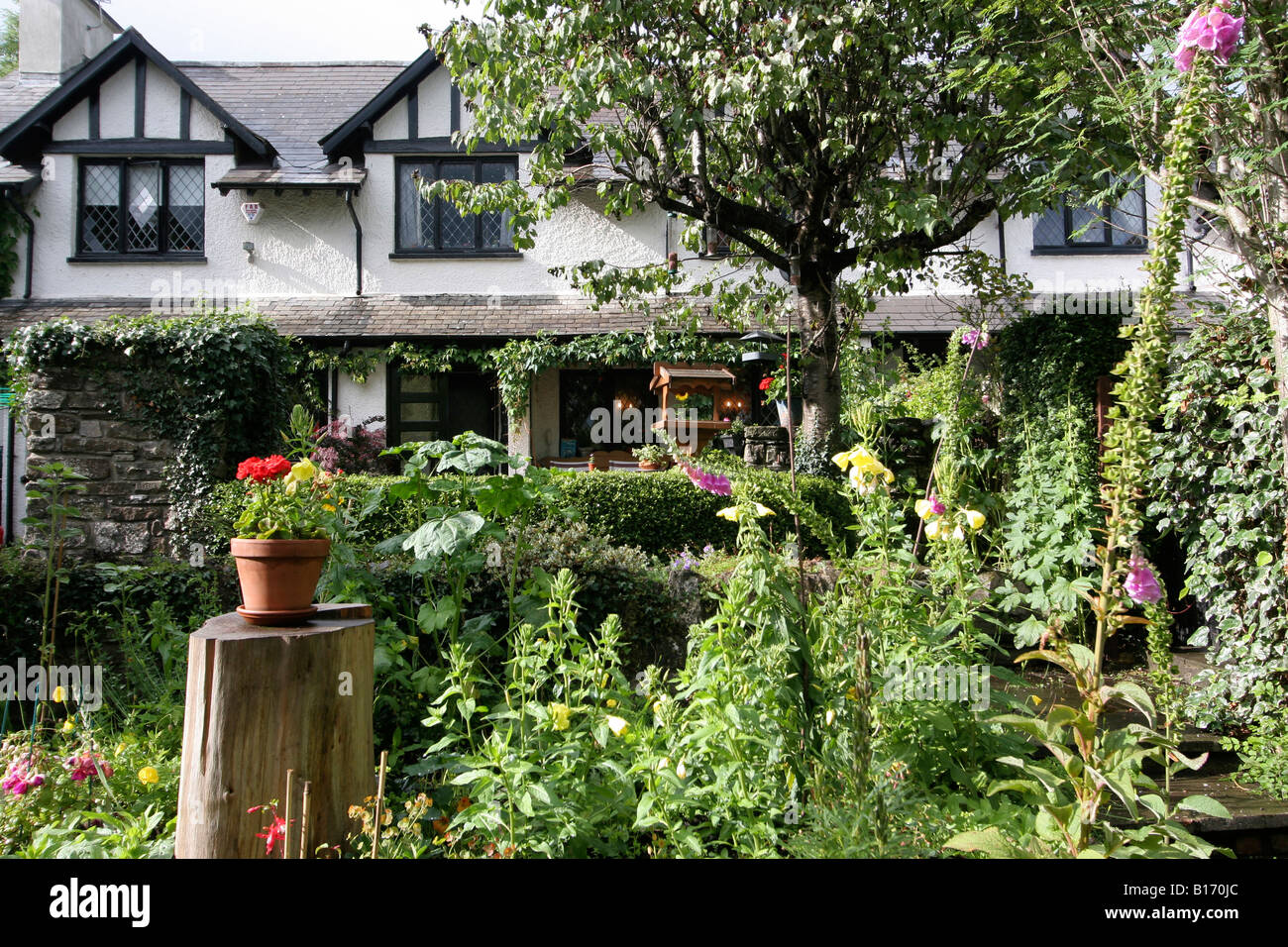 Country cottage garden,in Summer Pentyrch, Cardiff, South Wales, UK ...