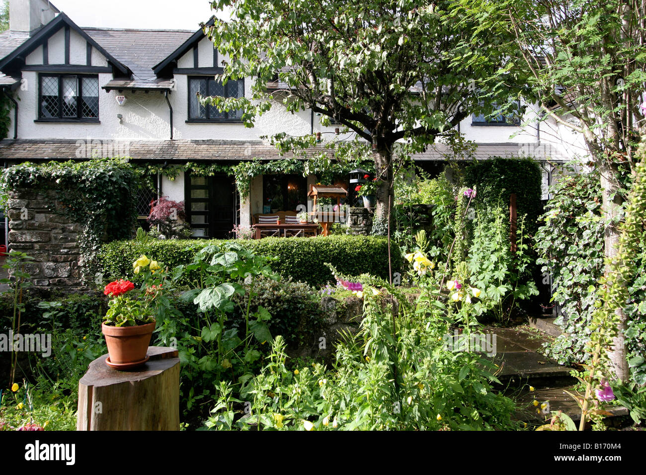 Country cottage garden,in Summer Pentyrch, Cardiff, South Wales, UK ...