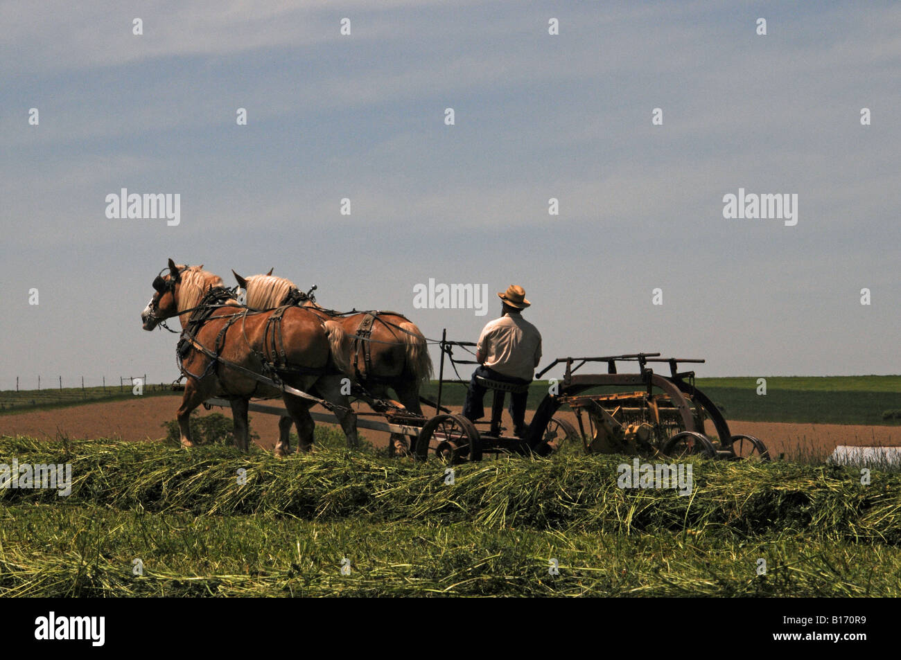 Horse hay rake hi-res stock photography and images - Alamy