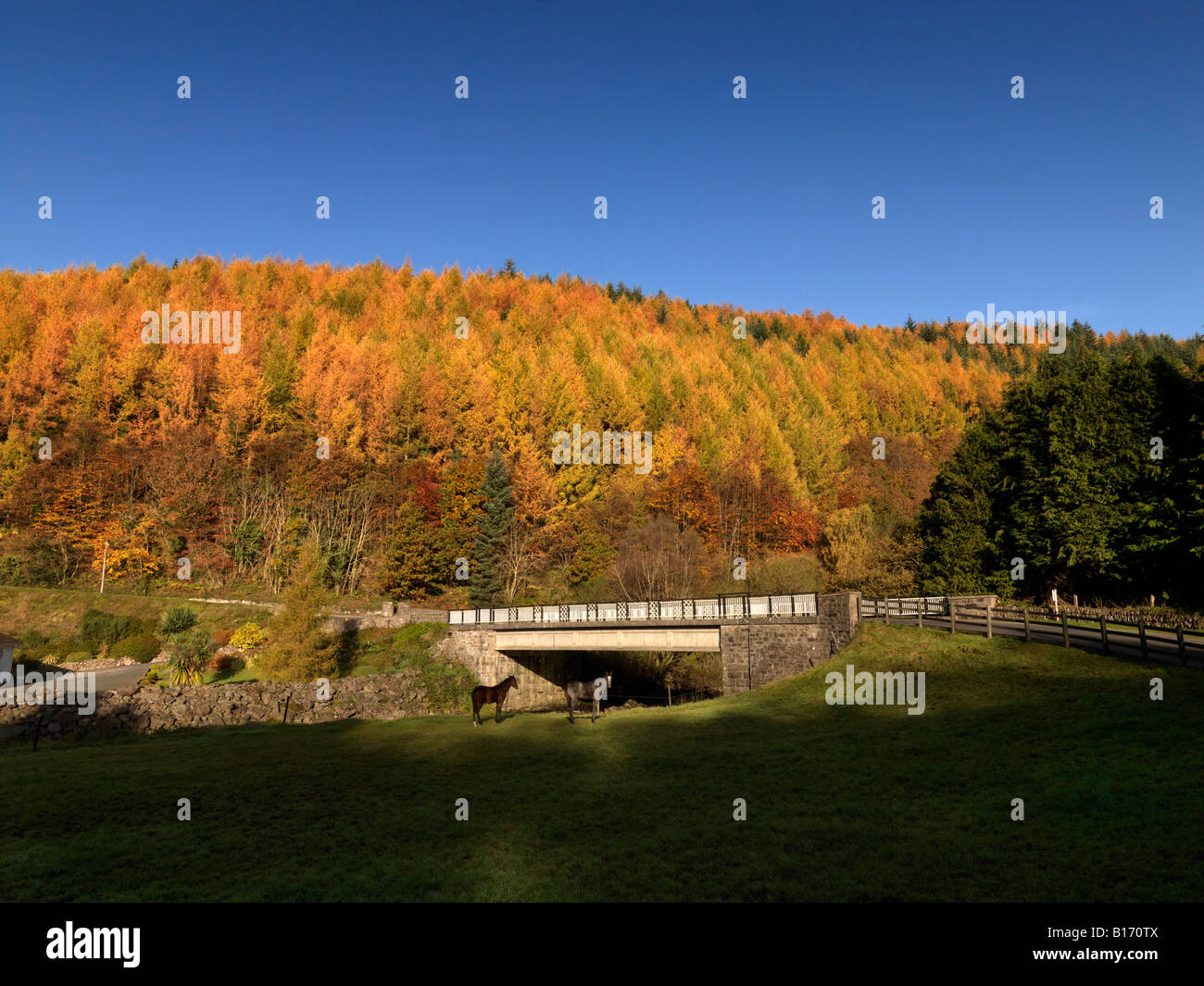 Nire Valley Comeragh Mountains County Waterford Ireland Stock Photo - Alamy