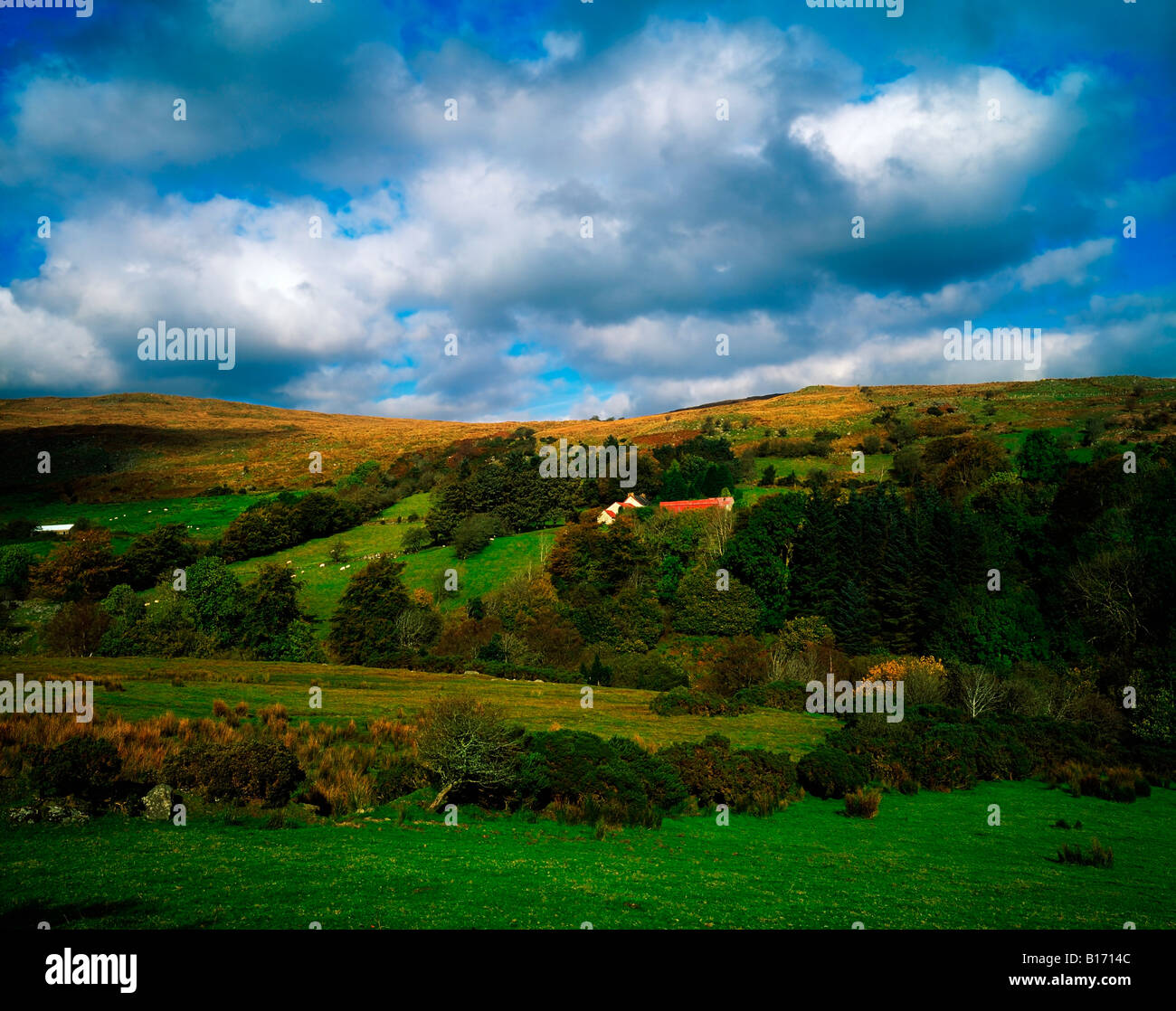 Sperrin Mountains, Co Tyrone, Ireland Stock Photo - Alamy