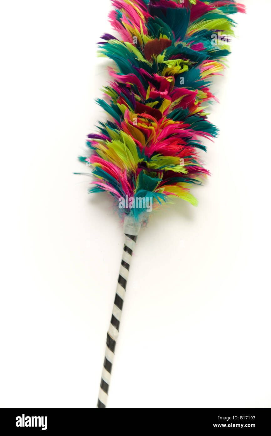 Feather duster hi-res stock photography and images - Alamy