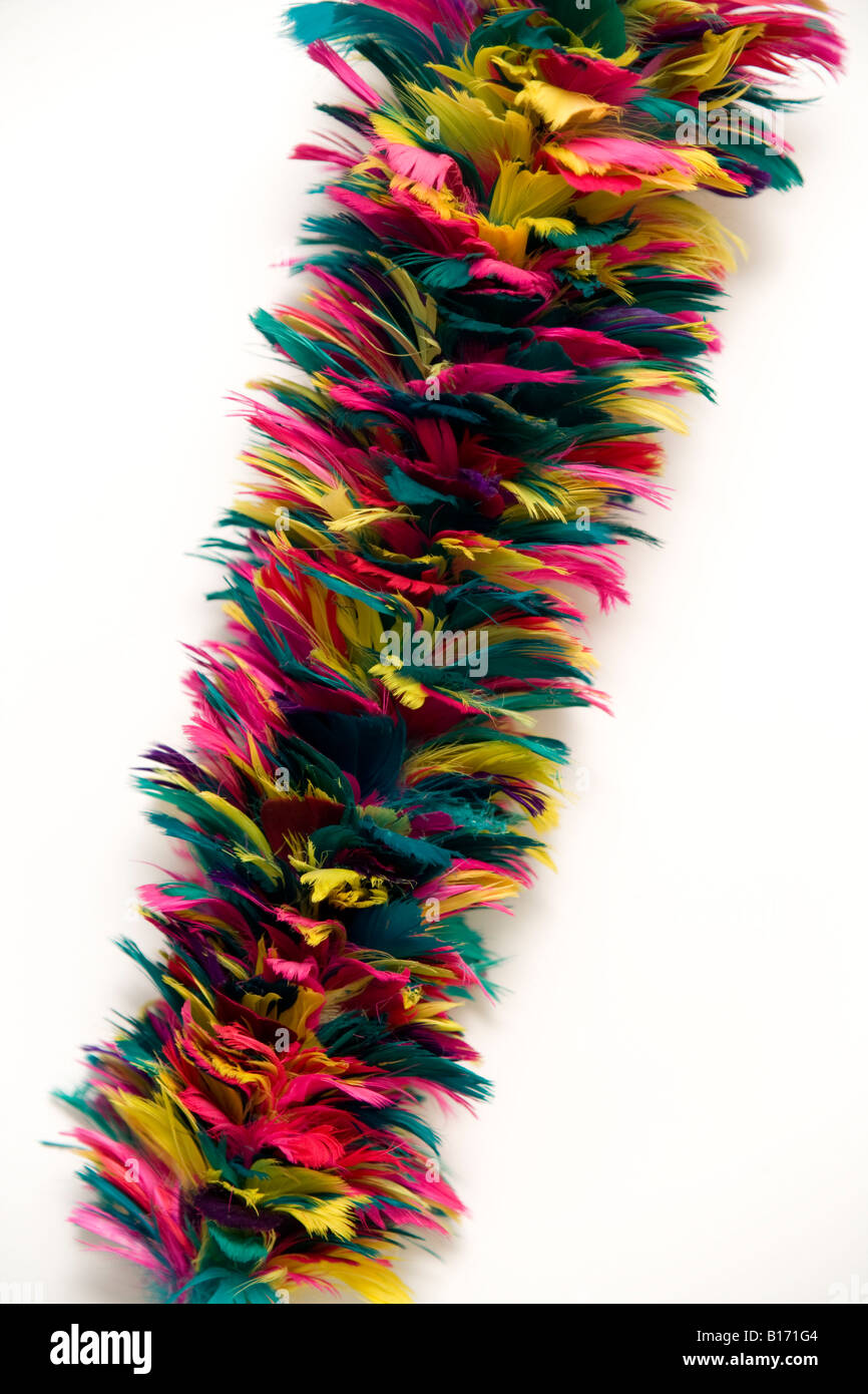feather duster,color feathers Stock Photo - Alamy