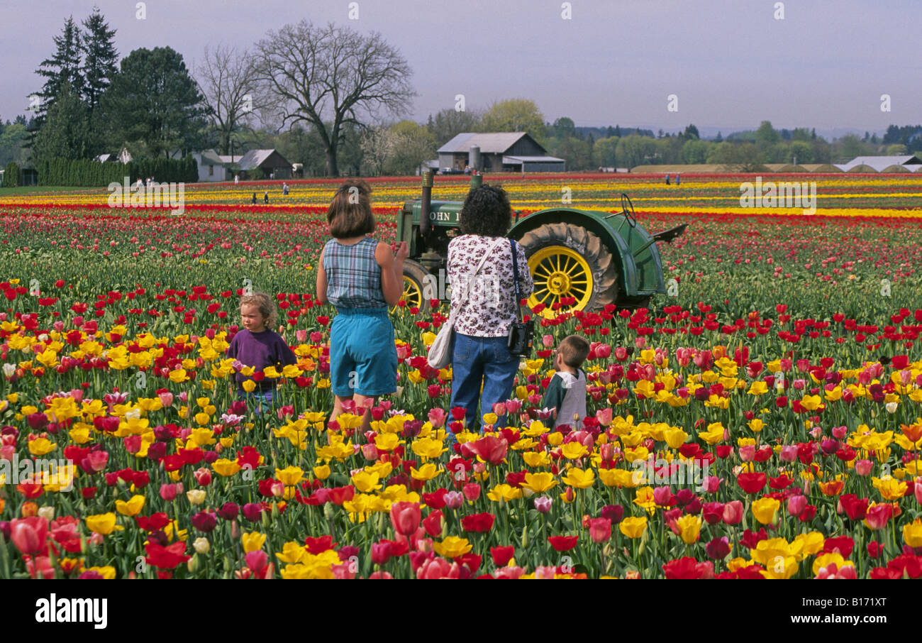 Visitors enjoy the brightly colored tulip fields of a tulip farm in ...