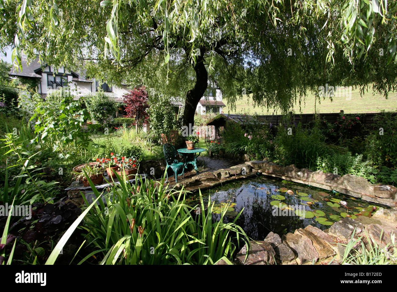 Country cottage garden, with fish pond,in Summer Pentyrch, Cardiff ...