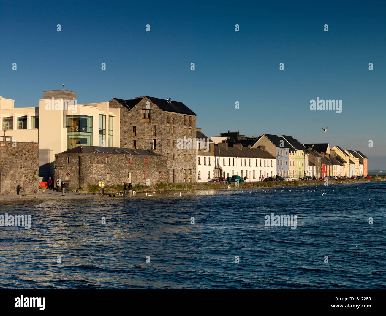 Galway birds hi-res stock photography and images - Alamy