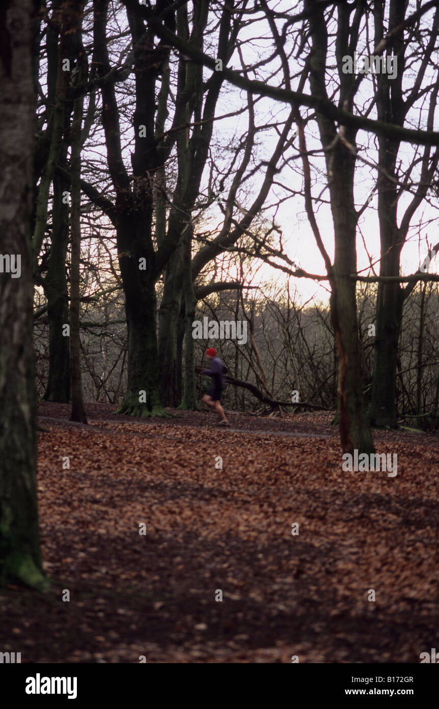 Red-hatted man running through late autumn woods Stock Photo - Alamy