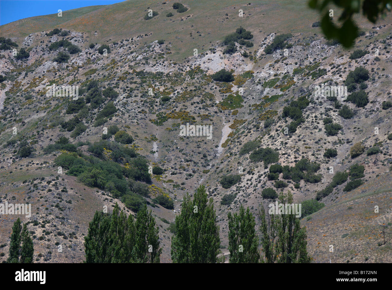 Tehachapi Mountains near Tejon Pass, California, USA Stock Photo - Alamy